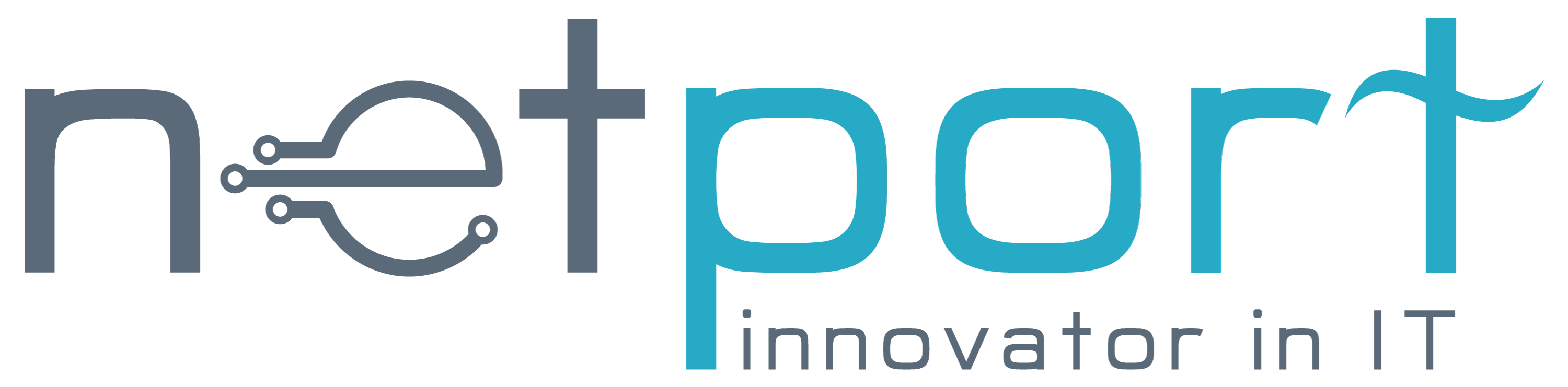 Netport LLC – Innovator in IT